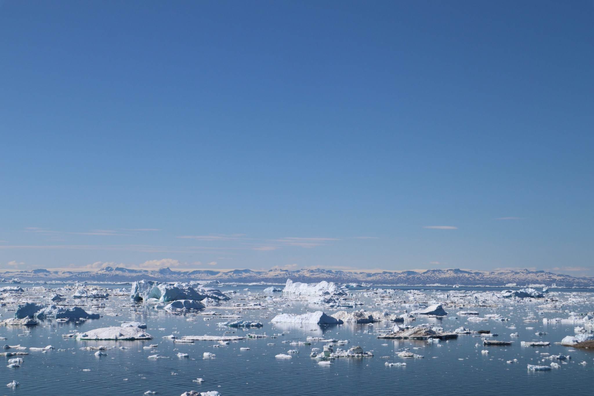 E1 Climate change - Annual report 2025